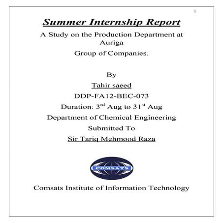 Summer Internship PDF report | PDF