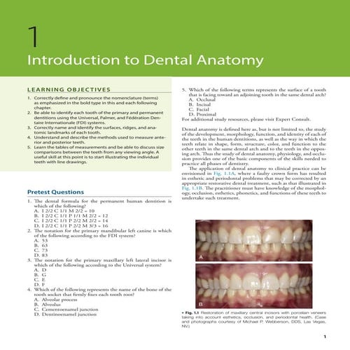 Introduction to Dental Anatomy | PDF