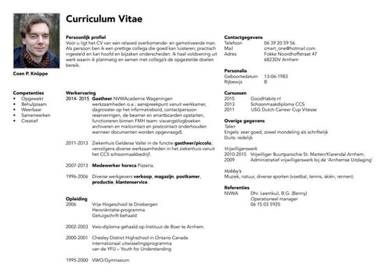 Cv slideshare mei | PDF