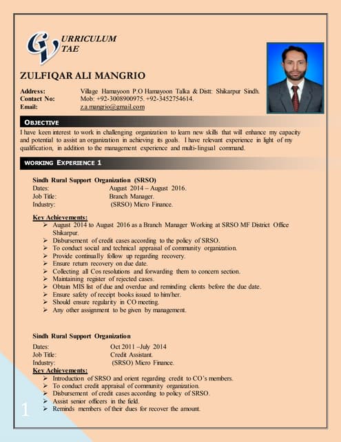 Professional Cv Amjad (2) | PDF
