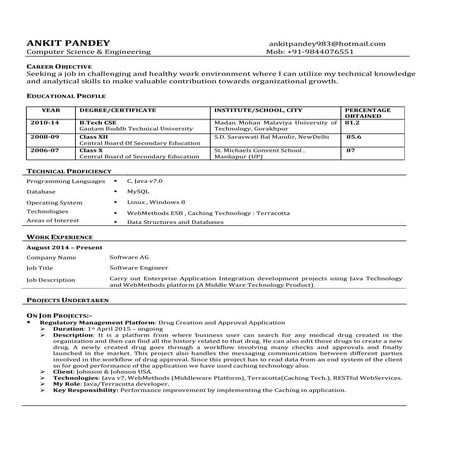 ankit_cv_final ready_Sept15 | PDF