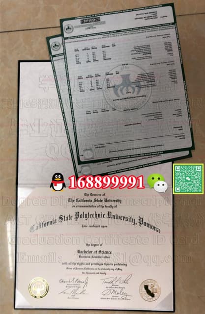 Francisco State University degree offer diploma Transcript | PPT