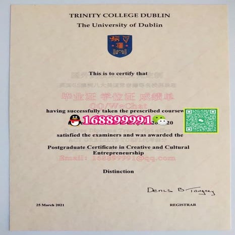Trinity College Dublin Diploma Degree Transcript | PDF