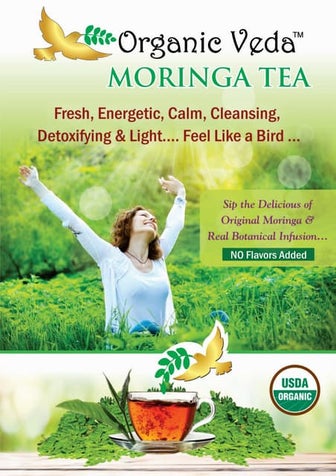 Moringa - E-brochure | PDF