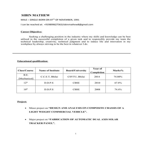 SIBIN resume | PDF