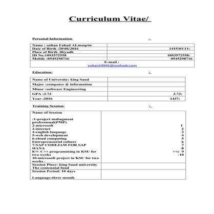 CV FOR SULTAN | PDF