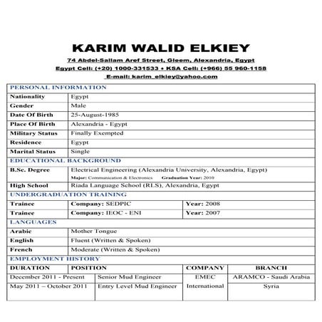 Mud Engineer Karim Elkiey s C.V | PDF