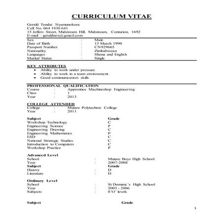 CURRICULUM VITAE G. NYAMUNOKORA (2) | PDF