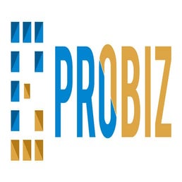Probiz logo | PDF