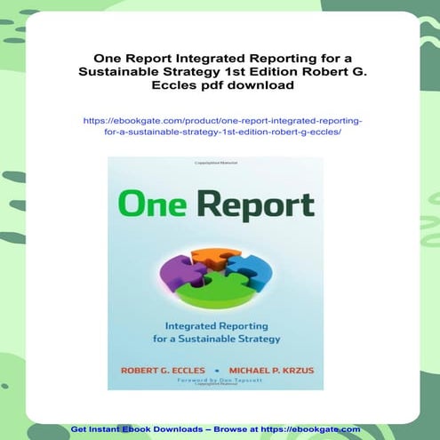 One Report Integrated Reporting for a Sustainable Strategy 1st Edition ...