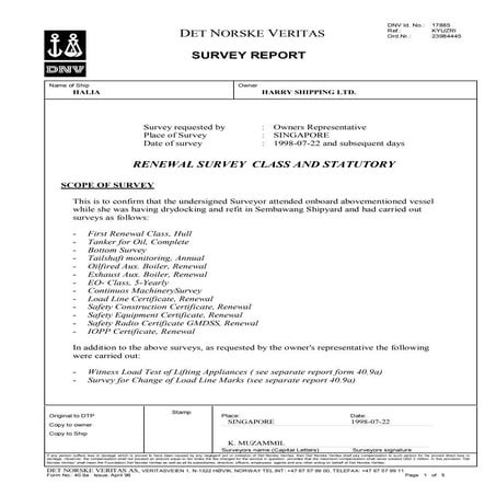 DNV Survey Report_HALIA_Renewal Survey Class and Statutory | PDF
