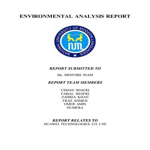 environmental analysis | DOCX