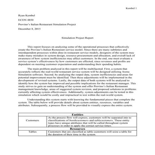 Provino's System Report | PDF