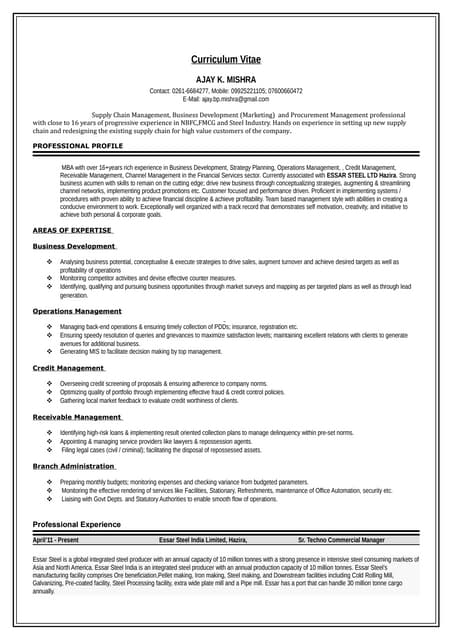 Cv madhukar vyas | PDF