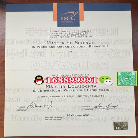 Dublin City University Diploma Degree Transcript | PDF