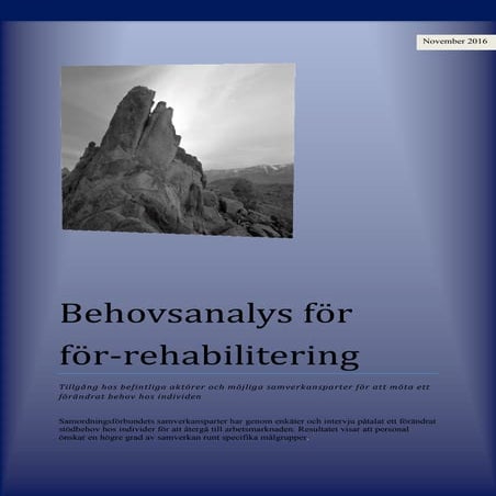 behovsanalys för för-rehabilitering | PDF