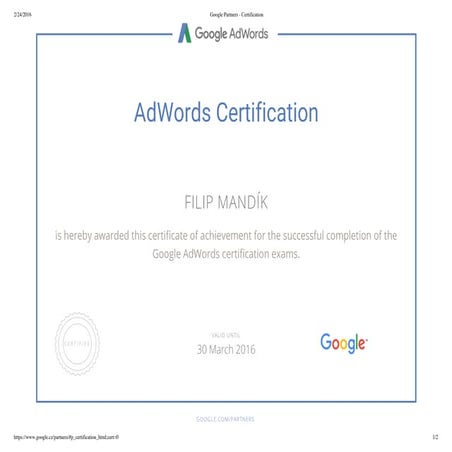 Google Partners - Certification | PDF
