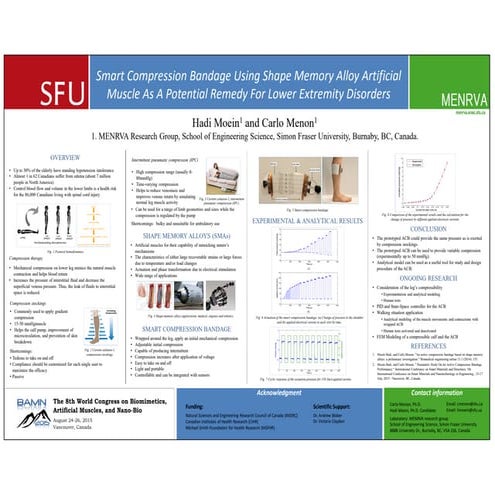 poster_BAMN_2015_1(2) | PPT