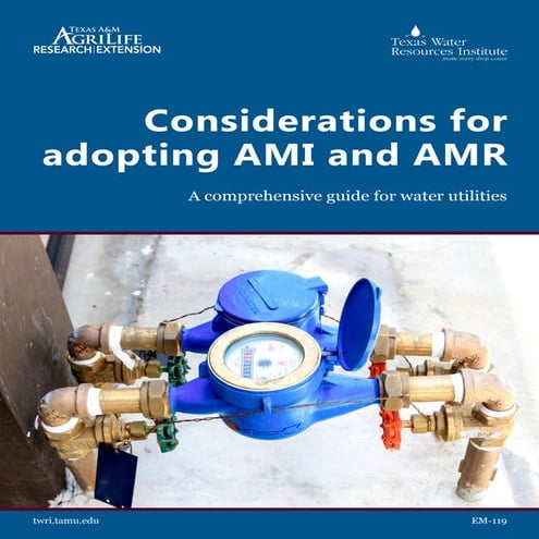 AMI Guidebook | PDF