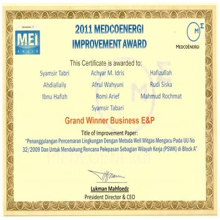 MEI Award 2011 Certificate | PDF