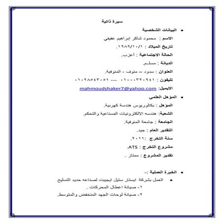 cv Arabic | PDF