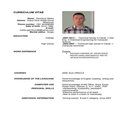 CV english | PDF