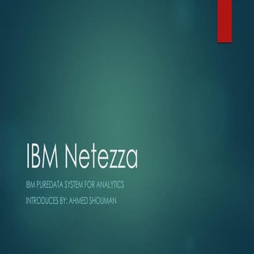 The IBM Netezza datawarehouse appliance