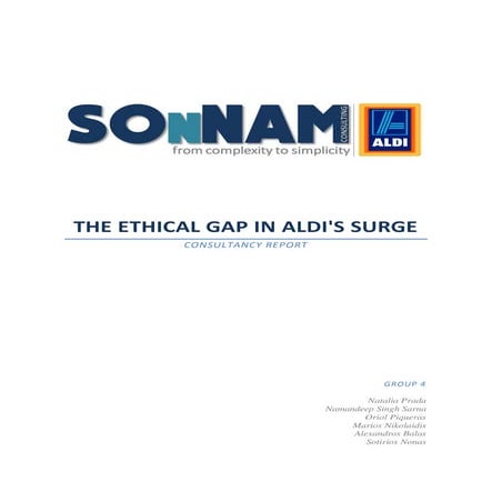 Final Report ALDI Group 4 | PDF