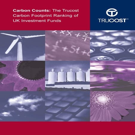 Trucost_Carbon_Report | PDF