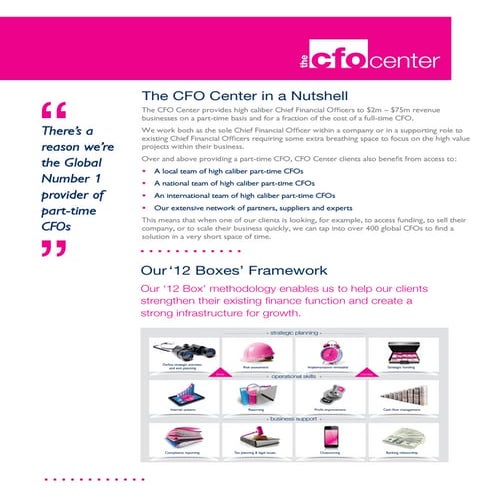 CFO 1 pager | PDF