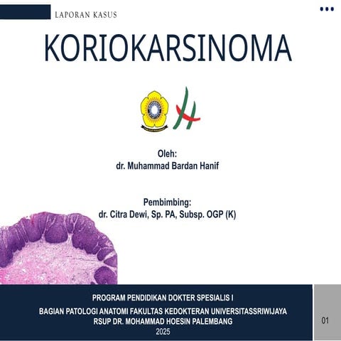 99c66b4c-c3cf-4444-bddd-34b3e339d8f3.pptx