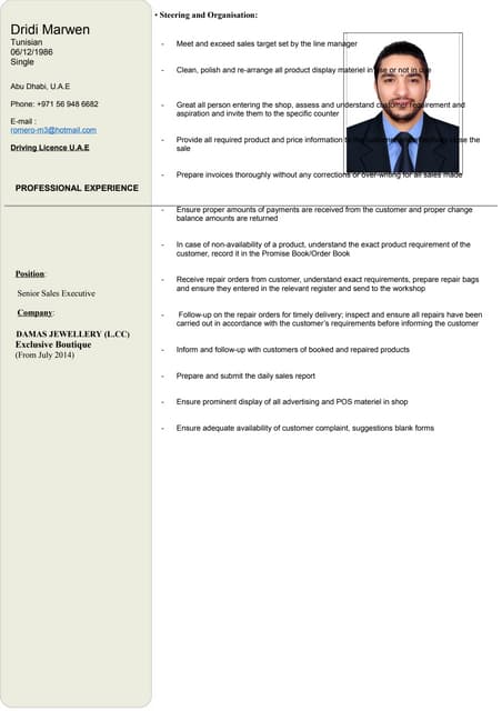 Ramy Aouad's CV | PDF