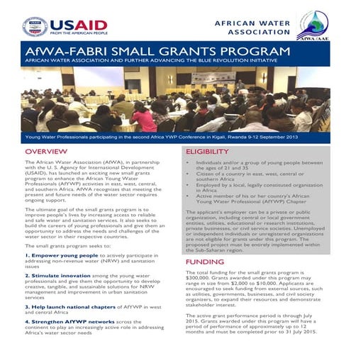 AfYWP Small Grants Flyer 2014 - EN | PDF