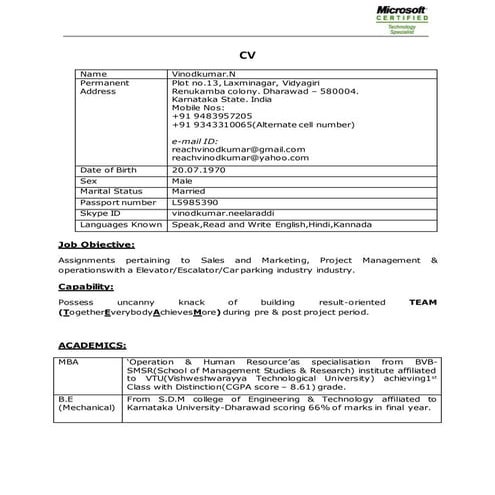 CV_updated_excel | DOCX | Sales | Business