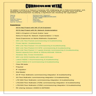 Abdul Rafay CV | PDF