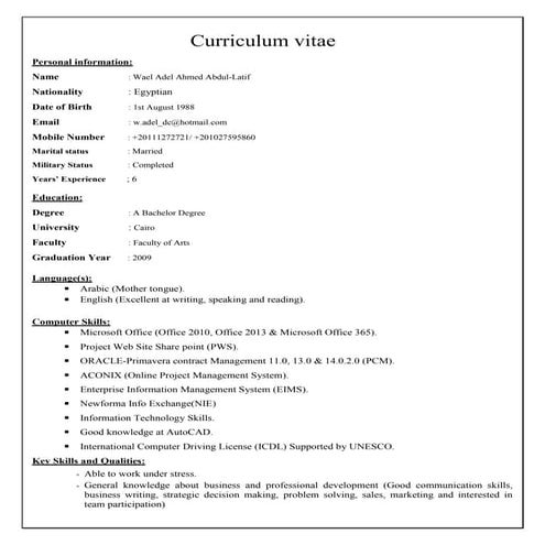 Wael Adel CV | PDF