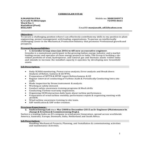 amit cv | DOCX