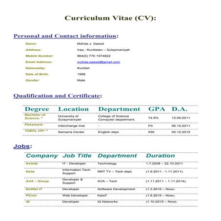 personal cv | PDF