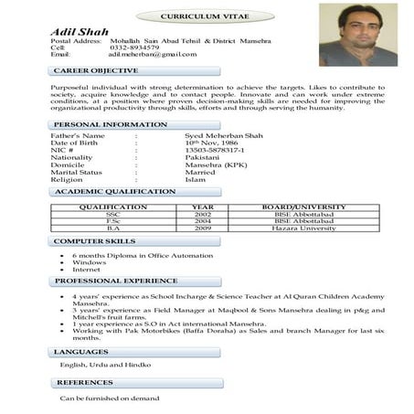 adil cv | PDF