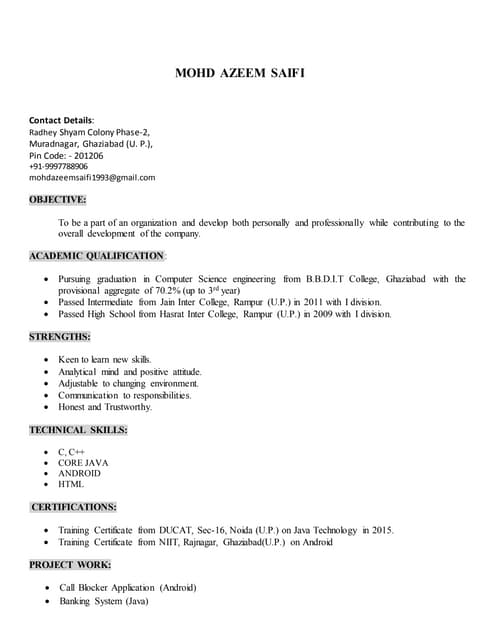 danish resume | PDF