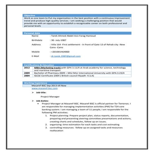 Tarek CV | PDF
