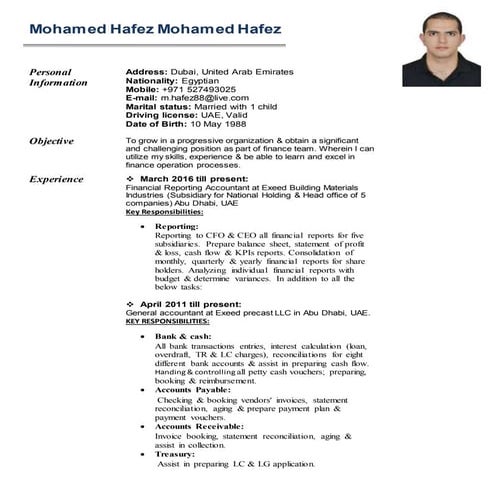 Mohamed Hafez Resume | PDF