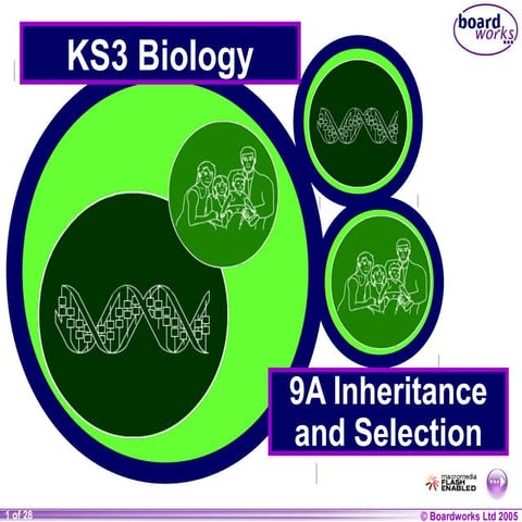9ainheritanceandselection 120607151125-phpapp01 | PPT