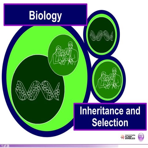 Coating defects - crawling and crater | PDF