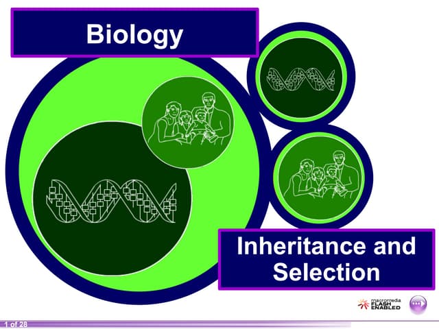 LOCAL ANAESTHETICS AND REGIONAL ANAESTHESIA 2.pptx