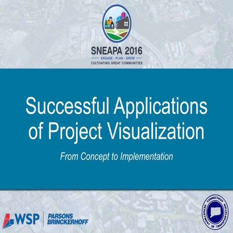 successful applications of project visualization | PPTX