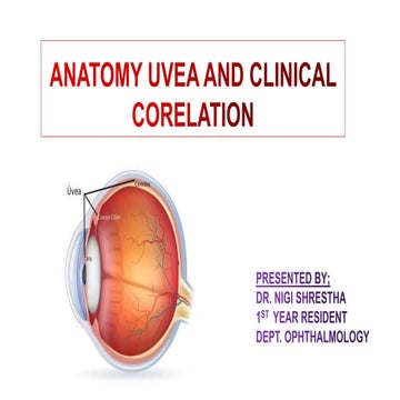 Anatomy of uvea UVEA of ophthalmology.pptx