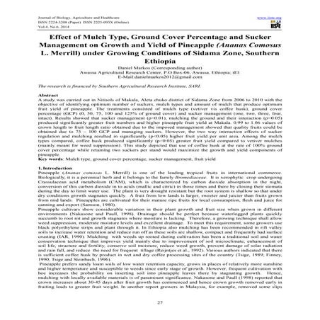 pineapple journal | PDF