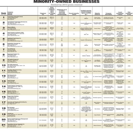 Minority-Owned Businesses 2015 | PDF