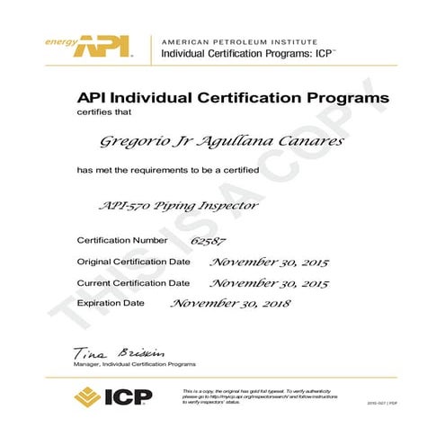 API 570 Certificate | PDF